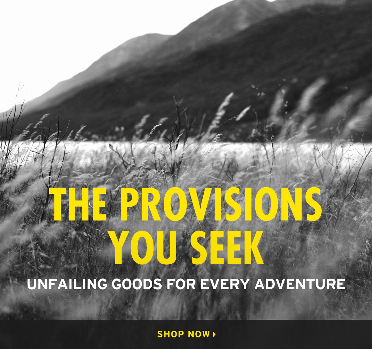 Filson's Ranger Graphic T-Shirt - Filson Email Archive